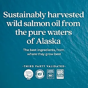 New Chapter Wholemega Fish Oil Supplement - Wild Alaskan Salmon Oil with Omega-3 + Vitamin D3 + Astaxanthin + Sustainably Caught - 180 ct, 1000mg Softgels