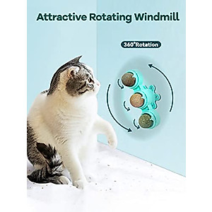 Petslucent Catnip Ball for Cats Wall, 3in1 Cat Toys Wall Ball Mint Balls Lick Roller, Cat Nip Silvervine Edible Kitty Safe Healthy Kitten Teeth Cleaning Dental Cat Toy Chew Toys Indoor