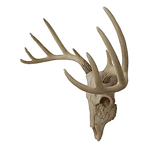 Ebros Gift Rustic Hunter Deer 10 Point Buck Skull Trophy Antlers Wall Mounted Plaque Trophy Decor Figurine 14.25" Long Hunter's Antler Rack Theme Deers Bucks Hunting Skulls Trophies Hanging Sculptures