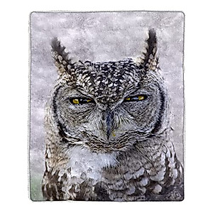Bedford Home Sherpa Fleece Throw Owl Print Pattern, Lightweight Hypoallergenic Bed or Couch Soft Cozy Plush Blanket for Adults and Kids, Multicolor