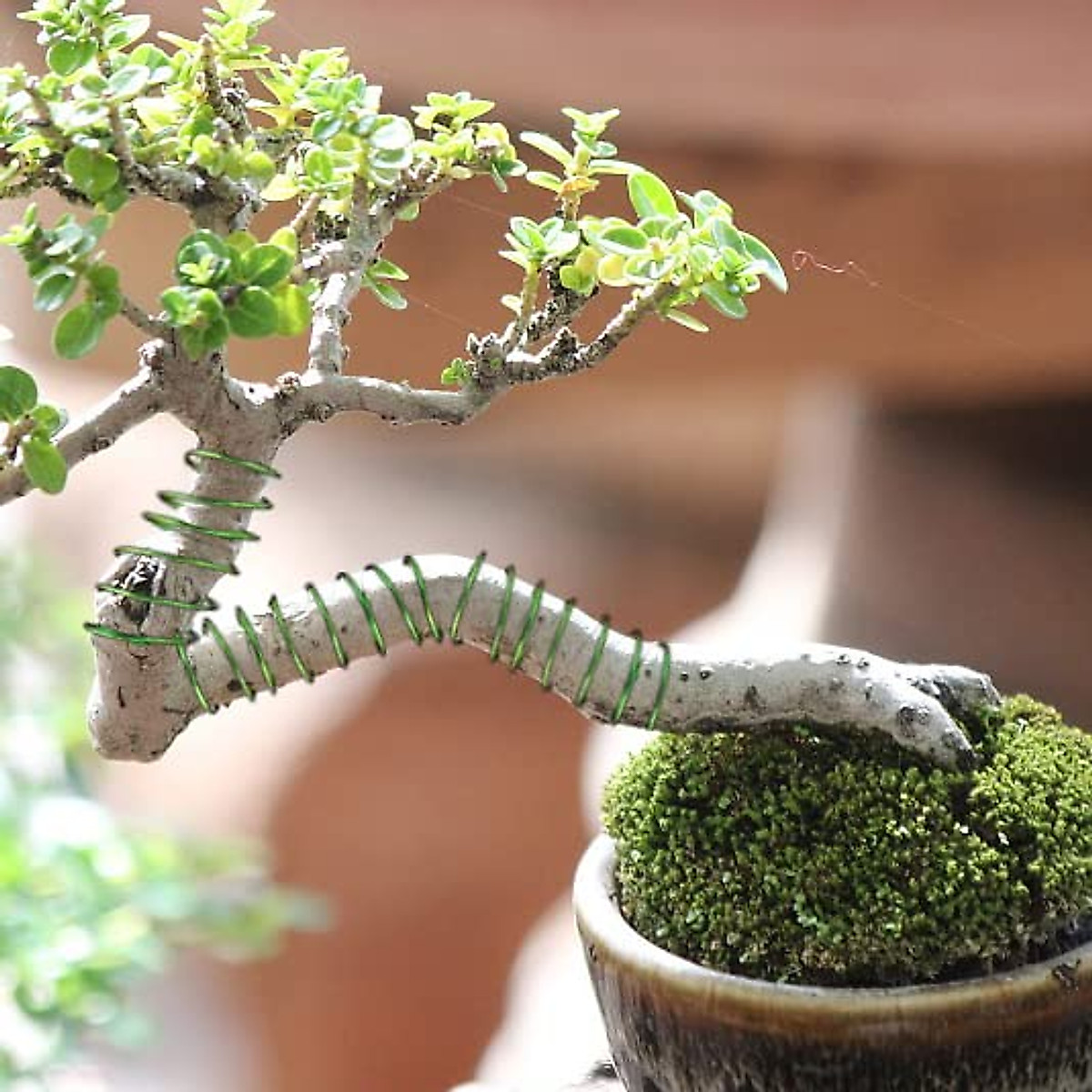 Sanlykate Bonsai Training Wire Kit, 9 Roll Tree Training Wires 295.27 Feet Total, 1.0mm, 1.5mm, 2.0mm Anodized Aluminum Wire Set, Hold Plant Branches Trunks - Green