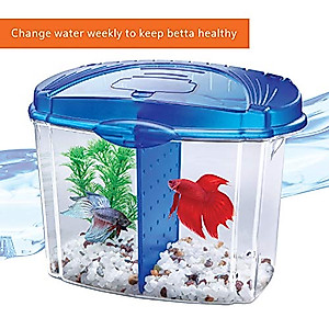 Aqueon Betta Bowl Aquarium Fish Tank Kit, Blue, Half Gallon
