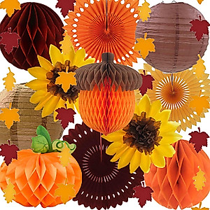 iwlorys Fall Party Decorations Set for Autumn Harvest Thanksgiving Forest Woodland Birthday Wild One Pumpkin Acorn Party Decor Baby Bridal Shower Paper Honeycomb Lanterns Maple Leaves Brown Burgundy