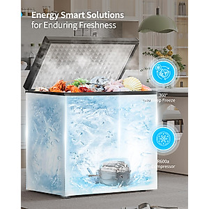 TABU 10 Cu Ft Large Chest Freezer with 7 Level Adjustable Thermostat,Compact Freestanding Top-opening Deep Freezer with Removable Storage Basket, Black