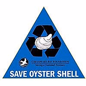 RiverView Enterprise ORIGINAL CHESAPEAKE BAY OYSTER KNIFE - SHUCKING CLAM/SHELLFISH OPENER - STAINLESS STEEL - SEAFOOD KNIFE