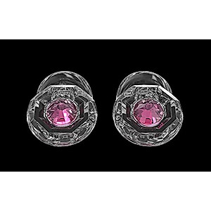 Eargasm Clicks Earplugs for Concerts Musicians Motorcycles Noise Sensitivity Conditions and More (Ear Plugs Come in Premium Gift Box Packaging)