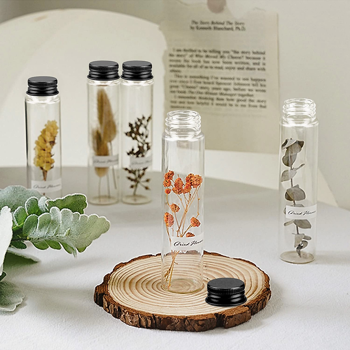 Clear Test Tube,36 Pack Clear Plastic Test Tubes Candy Tube Transparent Test Tubes with Cap,Flat Bottomed Plastic Tubes Bath Salt Container,3.7 OZ (Black Cap)