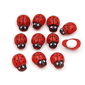 Mini Ladybugs, 100PCS Self-Adhesive Ladybugs Wooden Ladybug Shaped Stickers