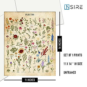 Botanical Wall Art Flower Poster - Set of 1 (11x14") Vintage Posters Wildflower Poster Botanical Poster, Vintage Wall Art Herb Poster Vintage Floral Prints For Wall Decor Flowers Wall Art - Unframed