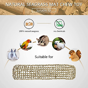 Bird Seagrass Mat 29.5"×7" Parrot Natural Grass Woven Net Hammock Hanging on Cage with Hooks Parakeet Climbing Rope Ladder Chew Toys for Pigeon Cockatiel Conure Budgie Cockatoo Rat
