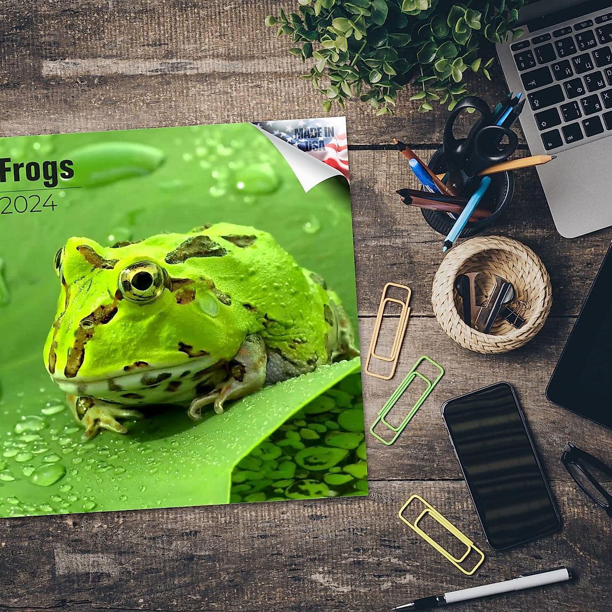 2023 2024 Frogs - Reptile Monthly Wall Calendar - 12 x 24 Open - Thick No-Bleed Paper - Giftable - Academic Teacher's Planner Calendar Organizing & Planning