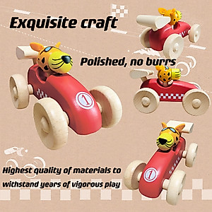 Lecelzie Toddler Activities Wooden Toys Car Baby Infant Montessori Fine Motor Skills Toys for 1 2 3 4 Year Old Boys Girls Gift Party Favors for Kids Push and Pull Toys