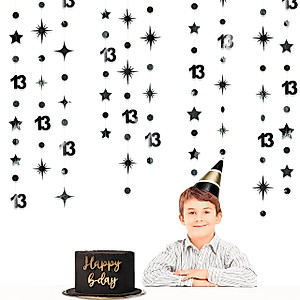 Black 13th Birthday Decorations Number 13 Circle Dot Twinkle Star Garland Metallic Hanging Streamer Bunting Banner Backdrop for Girls 13 Year Old Birthday Thirteen Official Teenager Party Supplies
