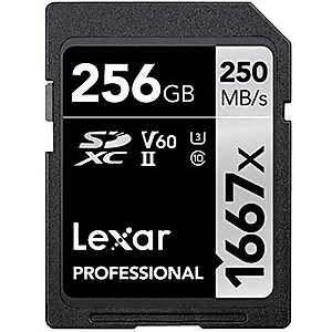 Lexar Professional 1667x 256GB SDXC UHS-II Memory Card, C10, U3, V60, Full-HD & 4K Video, Up To 250MB/s Read, for Professional Photographer, Videographer, Enthusiast (LSD256CBNA1667)