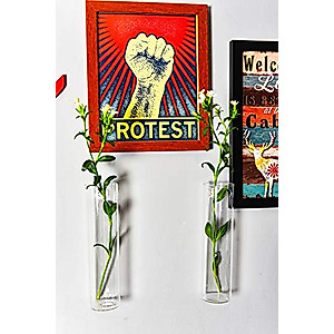 Kingbuy Wall Hanging Planter Glass Plant Propagation Station for Home Decor, Large Cylinder, 2 Pack