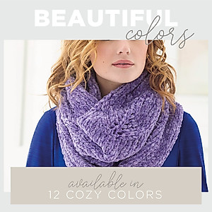 Lion Brand Yarn Chenille Appeal Yarn, Storm Front, 1 Count (Pack of 1)