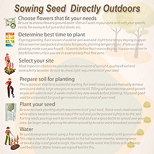 Outsidepride Cornflower AKA Bachelor's Button Wildflower Seeds for The Cut Garden - 1 LB