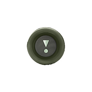 JBL FLIP 6 Waterproof Portable Speaker Bundle with gSport Carbon Fiber Case (Green Camo)