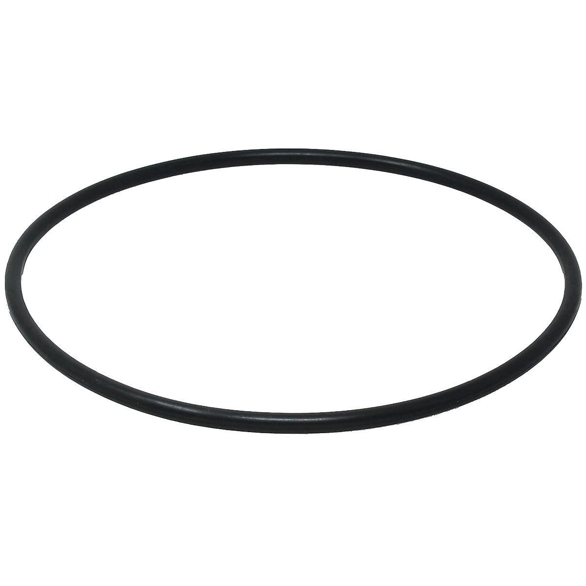 AppliaFit Lid Seal and O-Ring Compatible with Jandy R0446200 for Zodiac and Jandy JEP, SHPF, SHPM and SWF Pool Pumps 1-Pack (2 Pieces)