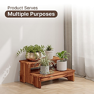 TINAMO 25" Long Step Stool for Adult & Kid - Wooden Two Step Stool 500 Lbs - Riser 2-Step Spa & Hot Tub Stairs for Pool - Heavy Duty 2 Step Stools for Bed, Kitchen, Indoor/Outdoor (Acacia Wood)