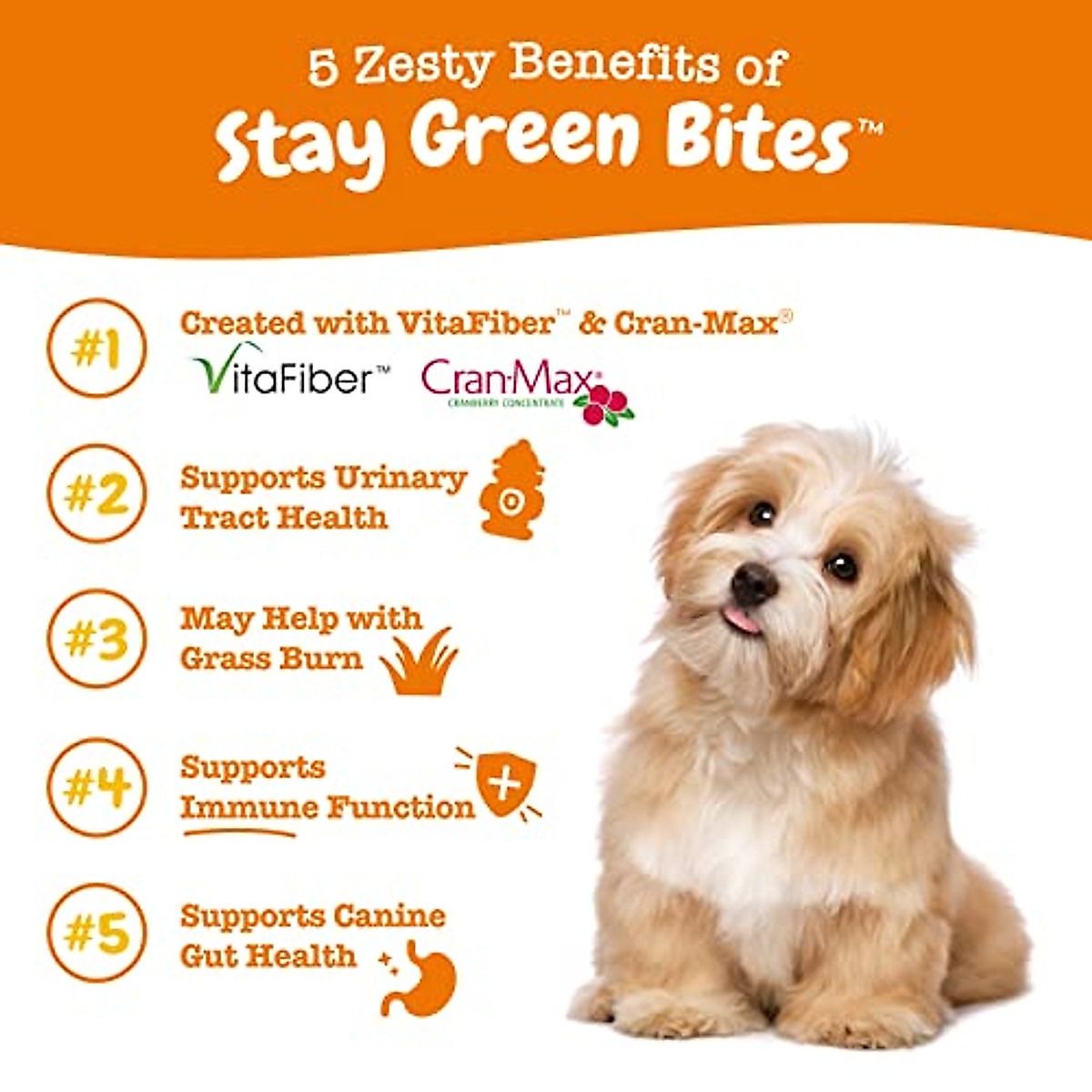 Zesty Paws Stay Green Bites for Dogs - Grass Burn Soft Chews for Lawn Spots Caused by Dog Urine - Cran-Max Cranberry for Urinary Tract & Bladder - with Apple Cider Vinegar + Digestive Enzymes - 90ct