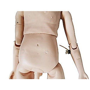 IntBuying Life Size Male Education Mannequin Model Patient Care Teaching Human Manikin Man for Education Study, Manikin for Nurse Training, Male Medical Mannequin Full Body