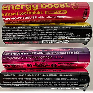 Xero Picks Wellness - Flavored Toothpicks -100 Picks-Variety 5 Pack-Curcumin, Glucosamine, Huperzine, Bacopa, B12, Elderberry, Vitamin C, Zinc, B6, Melatonin, Theanine