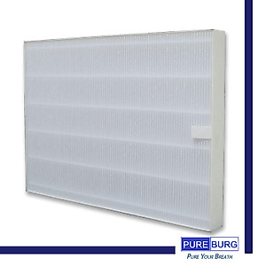 PUREBURG FP-A60U Replacement True HEPA Filter Compatible with Sharp FZ-A60HFU fits Sharp Plasmacluster FP-A60UW FP-A60U Air Purifier,H13 Air Clean Dust,1-Pack