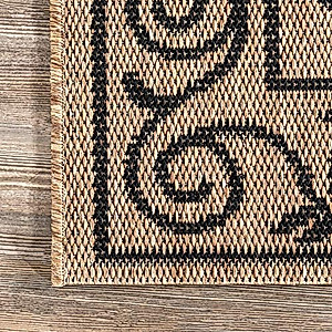 nuLOOM Kathleen Traditional Indoor/Outdoor Area Rug, 5x8, Brown