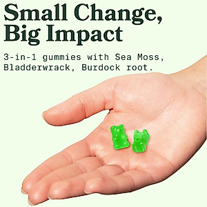 Betterbrand BetterLungs Pear Flavored Sea Moss Gummies - 1600mg Bladderwrack & Burdock Root for Lung & Immune Support, 60 Count