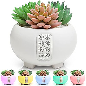 【3 in 1】White Noise Sound Machine for Sleep Adults Kids Baby – White Noise Machine for office privacy & noise canceling - Pink and Brown Noise, Lullaby’s and Nature Sleep Sounds for Deep Restful Sleep