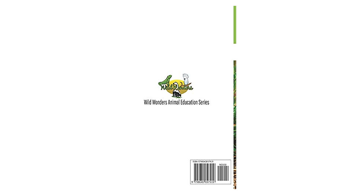 Discover Homes and Habitats: A Wild Wonders Book