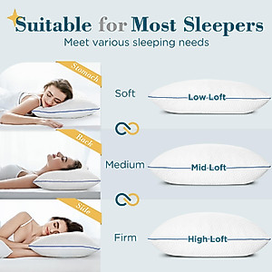 viewstar Pillows Queen Size Set of 2, Firm and Supportive Shredded Memory Foam Pillows, Adjustable Loft Back Side Sleeper Bed Pillow with Washable Removable Cover, 20"x 30"