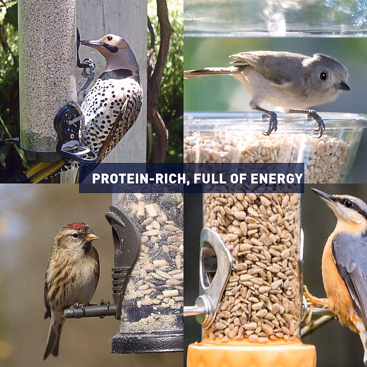 EasyGoProdcuts Sunflower Kernels – Medium Sun Flower Wild Bird Seed Chips 50 lb