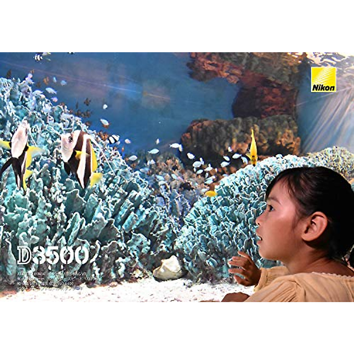 Nikon D3500 24.2MP DX-Format DSLR Digital Camera (Body Only) - (Black) - (Japan Import)