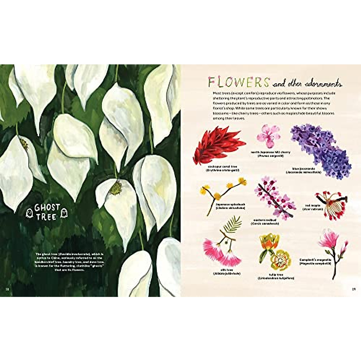 Trees: An Illustrated Celebration