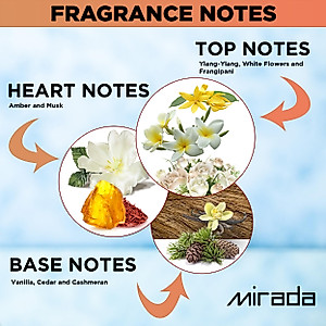 MIRADA Verato Amber, Women's Eau de Parfum (EDP) 3.4 FL. Oz (100ml), Women’s Perfume with Notes of Ylang-Ylang, White Flowers, Frangipani, Amber, Musk, Vanilla, Cedar, Cashmeran