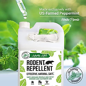 Mighty Mint Gallon (128 oz) Rodent Natural Peppermint Oil Spray