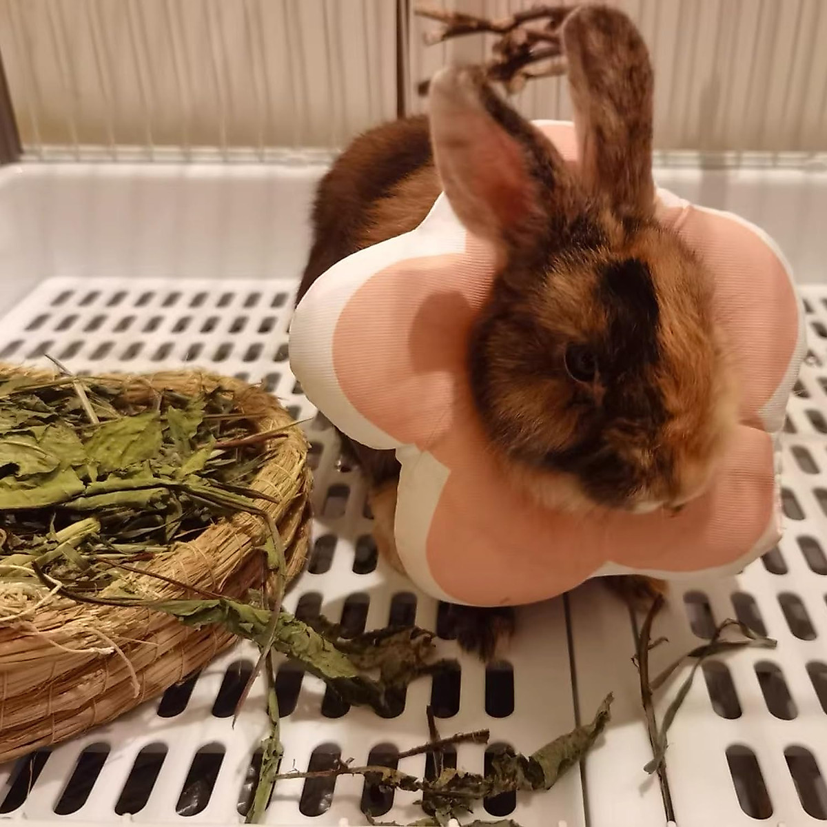 Adjustable Rabbit Protection Cone Collar - Soft Waterproof Recovery Collar for Bunny Chinchilla Guinea Pig Kitten After Surgery Wound Healing Elizabeth Neck Cone E-Collar for Small Pets (Pink, XS)