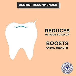 PUR Mints | Aspartame Free Mints | 100% Xylitol | Sugar Free, Vegan, Gluten Free & Keto Friendly | Natural Flavored Mints, Variety Pack, 20 Pieces (Pack of 3)