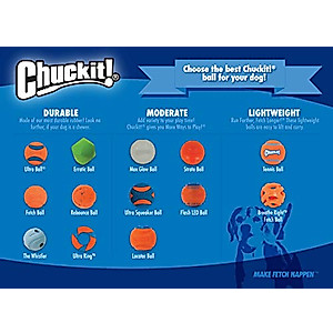 Chuckit Max Glow Ball Dog Toy, Medium (2.5 Inch Diameter) for Dogs 20-60 Lbs, Pack Of 2