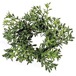 HAPPY DEALS ~ New England Boxwood Candle Ring | 2 inch Center | Greenery Candle Ring Wreath | 6 inch | FXP78275, Green