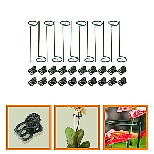Sosoport Garden Trellis Set with Metal Plant Stakes and Plastic Clips Vine Plant Support Trellis Green Plant Climbing Rack for Amaryllis Orchid Lily Rose Peony Tomatoes Gladiolus