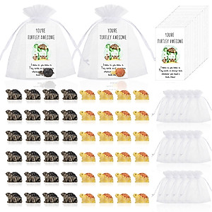 Qunclay 50 Sets Employee Appreciation Gifts Mini Sea Turtle Funny Inspirational Gift for Coworker Mini Greeting Cards You're Awesome Sign Cards Organza Bags Cute Turtles for Employee Teacher Staff