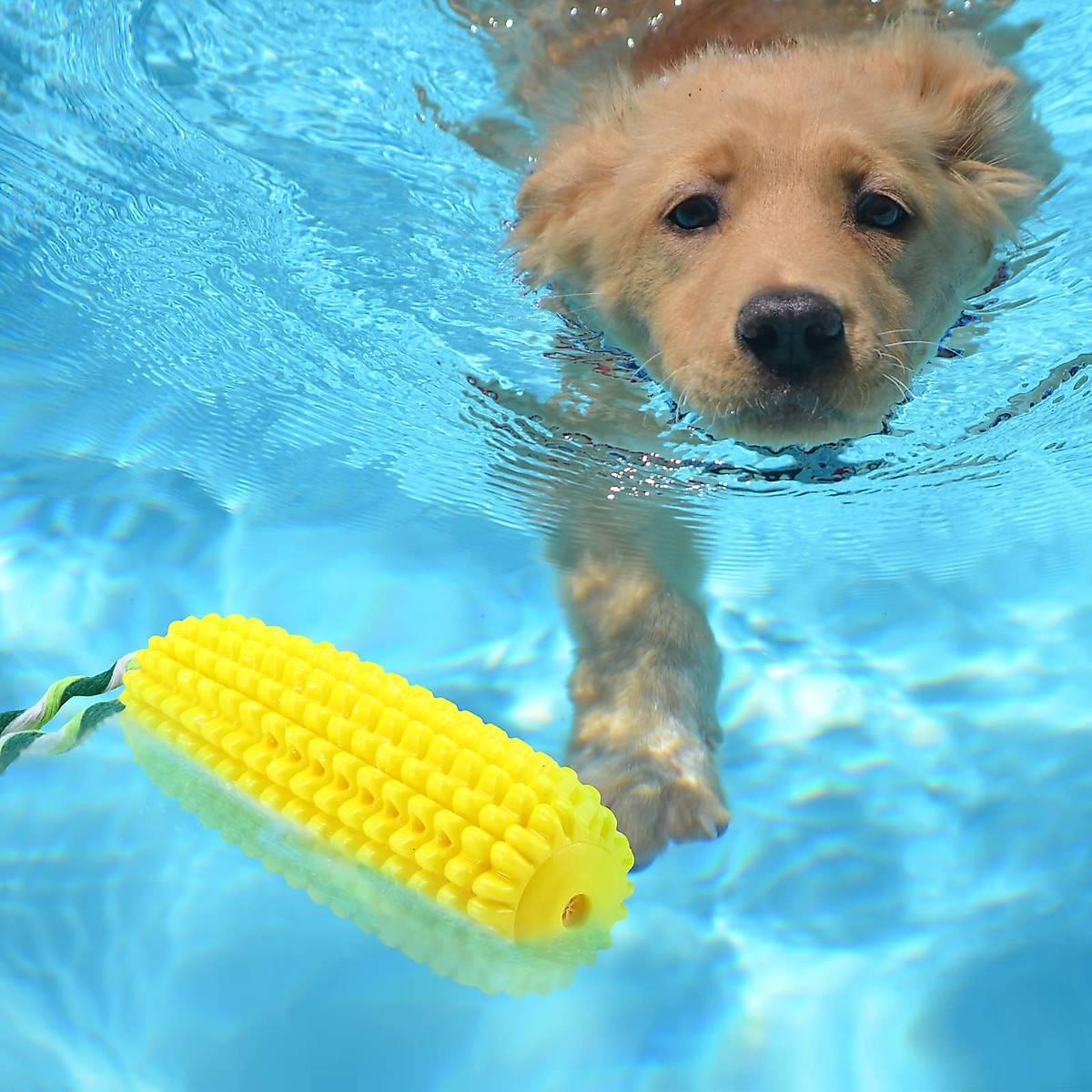 Sumind Dog Chew Toys Squeaky Puppy Toothbrush Clean Teeth Interactive Corn Cob Toys Dog Toys Aggressive Chewers Small Medium Large Breed for Training and Cleaning Teeth