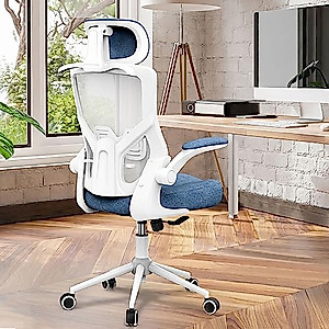 FOKESUN Ergonomic Office Chair