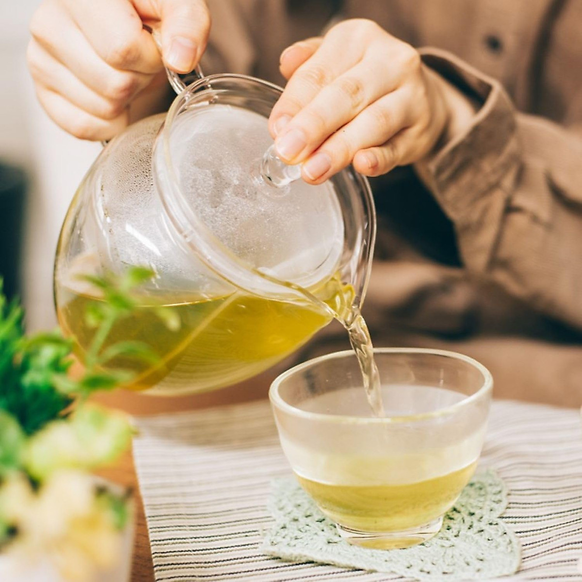 Hario Cha Cha"Natsume" Tea Pot, 360ml, Clear