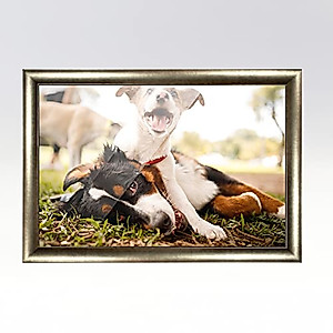 22x31 Frame Silver Real Wood Picture Frame Width 1.25 Inches | Interior Frame Depth 0.5 Inches | Florian Minimalist Photo Frame Complete with UV Acrylic, Foam Board Backing & Hanging Hardware