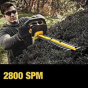 DEWALT 20V MAX* Cordless Hedge Trimmer, 5.0 Ah, 22-Inch (DCHT820P1)