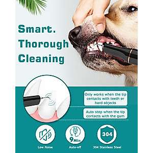 Petbank Dog Teeth Cleaning Kit 12-in-1, Pet Ultrasonic Canine Plaque Remover for Teeth with LED Light, 5 Cleaning Mode, USB Charge Dog Toothbrush Tool with Dental Tools Scaler Scraper